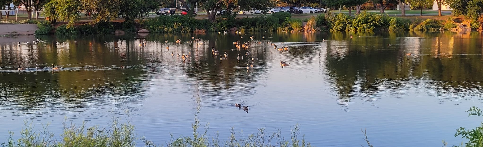 Sikes Lake Loop: 42 Reviews, Map - Texas | AllTrails