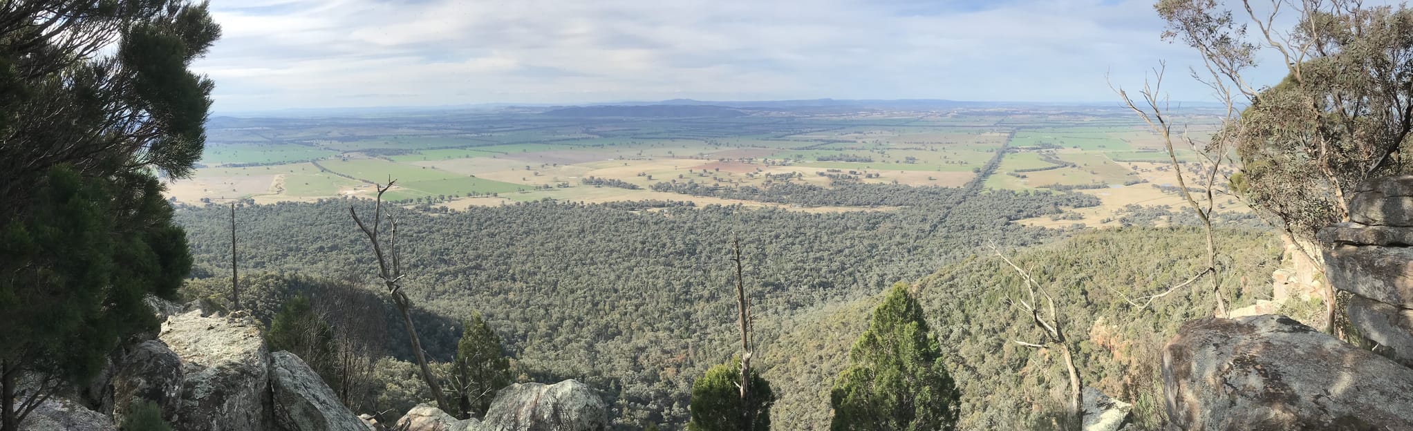 Basin Gully Track: Ben Hall Campground to Eualdrie Lookout, New South ...