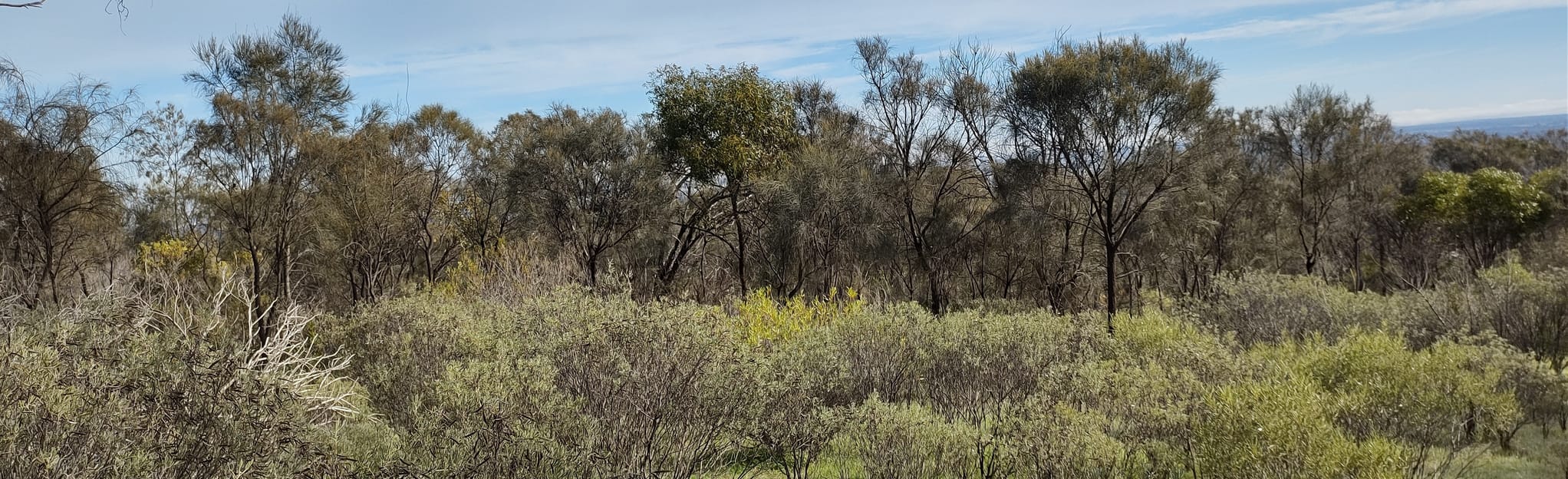 Jo Gapper Park and Rotary Lookout, South Australia, Australia - 27 ...