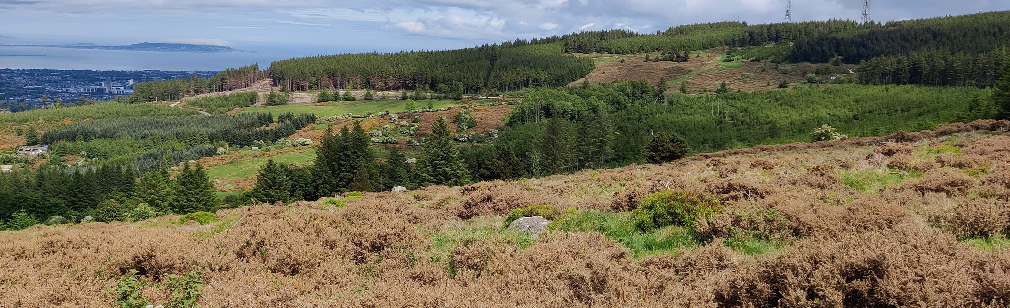 Kilmashogue and Fairy Castle Loop: 1.014 foto - Dún Laoghaire-Rathdown ...