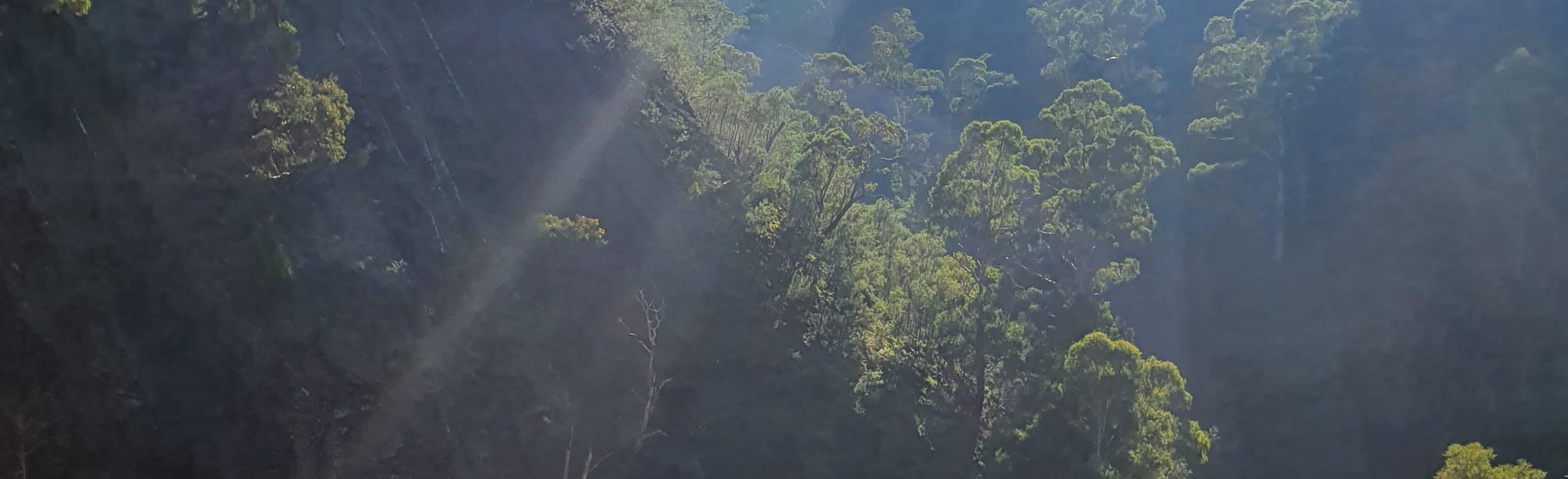 Strath Creek Falls, Victoria, Australia - 19 Reviews, Map | AllTrails