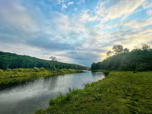 2023 Best 10 Kid Friendly Trails in Hardwick Township | AllTrails