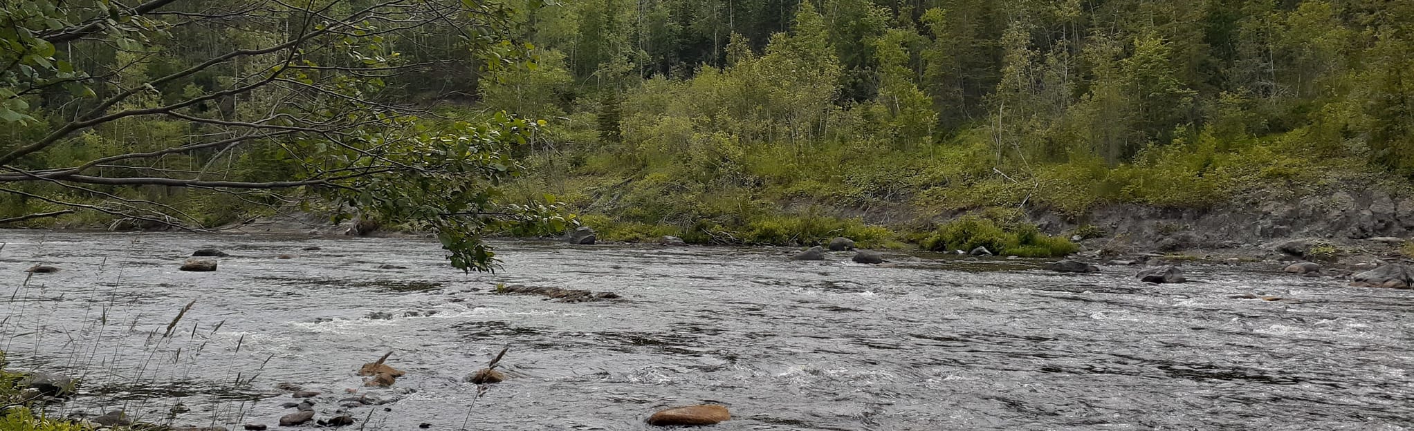 Sentier de la Rivière Rimouski via le Parc Beauséjour, Quebec, Canada ...