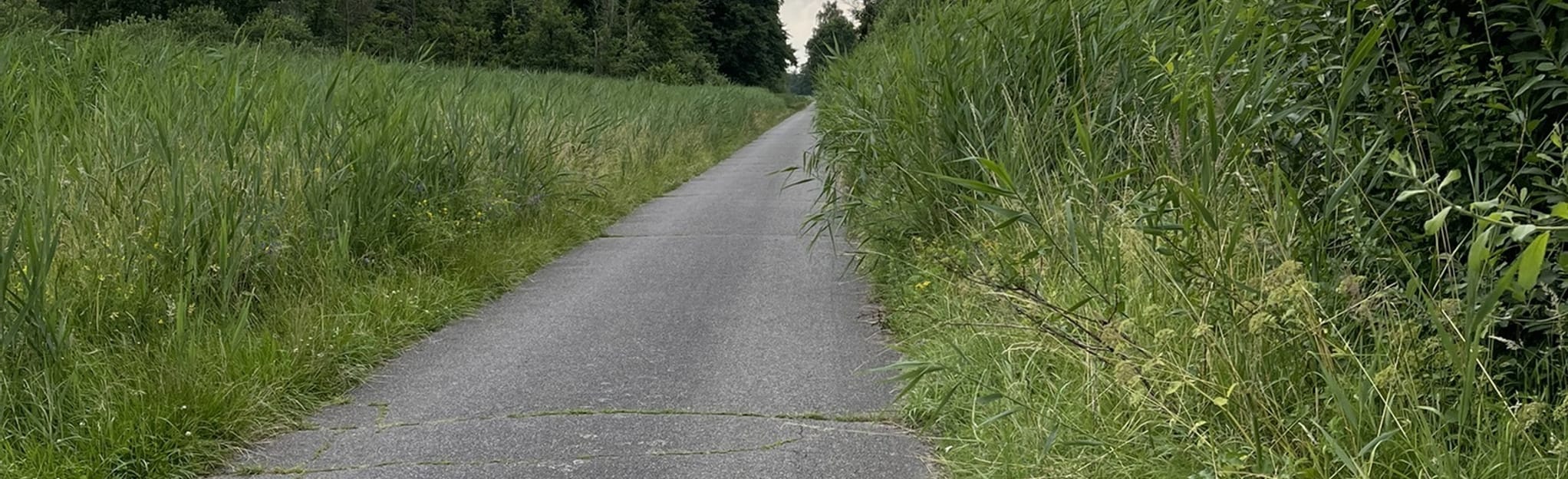 Nature adventure trail on the Ilkerbruch, Lower Saxony, Germany - 4 ...