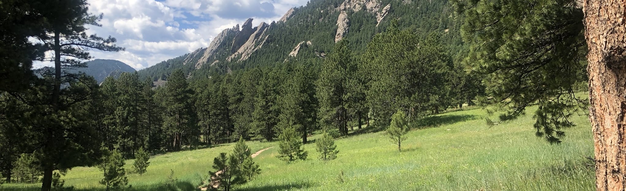 NCAR to Fern Canyon to Mesa Loop, Colorado - 259 Reviews, Map | AllTrails