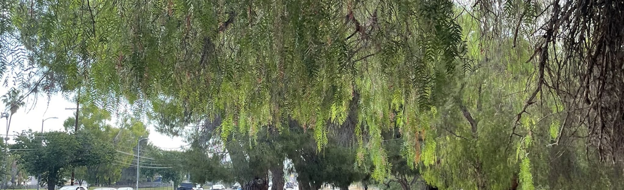 Metro Orange Line Bikeway, California - 90 Reviews, Map | AllTrails