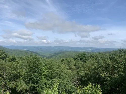 Best 10 Hiking Trails in Laurel Ridge State Park | AllTrails