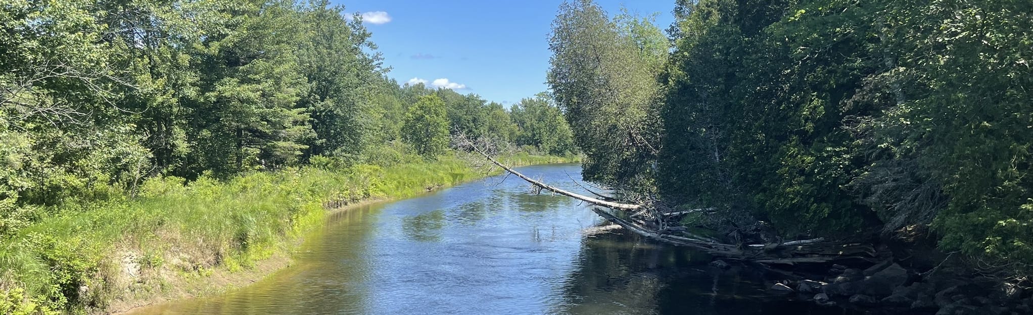 Moose Pond, New York - 303 Reviews, Map | AllTrails