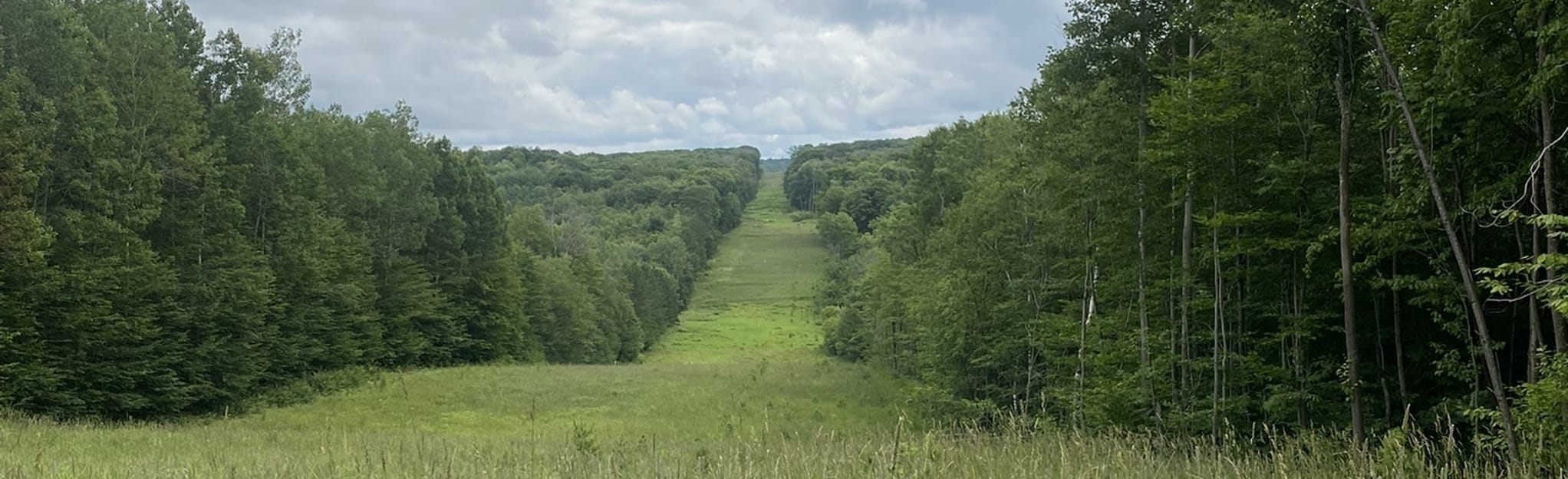 Log Slide Trail: 19 Reviews, Map - Pennsylvania | AllTrails