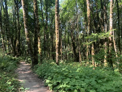 10 Best Trails and Hikes in Lake Oswego | AllTrails