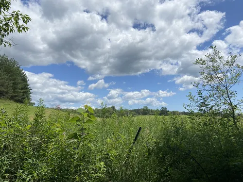 Best Hikes and Trails in Long Sault Conservation Area | AllTrails