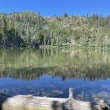 Tamarack Lake, California - 7 Reviews, Map | AllTrails