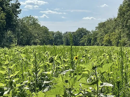 Best Hikes and Trails in Poolesville | AllTrails