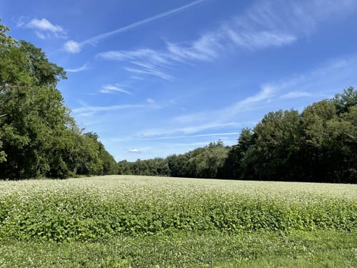 Best Hikes and Trails in Poolesville | AllTrails