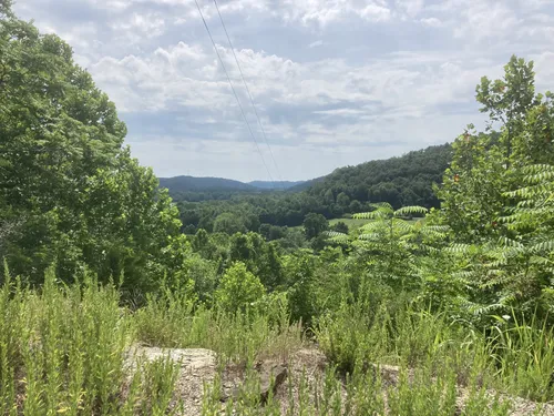 10 Best Walking Trails in Barboursville City Park | AllTrails