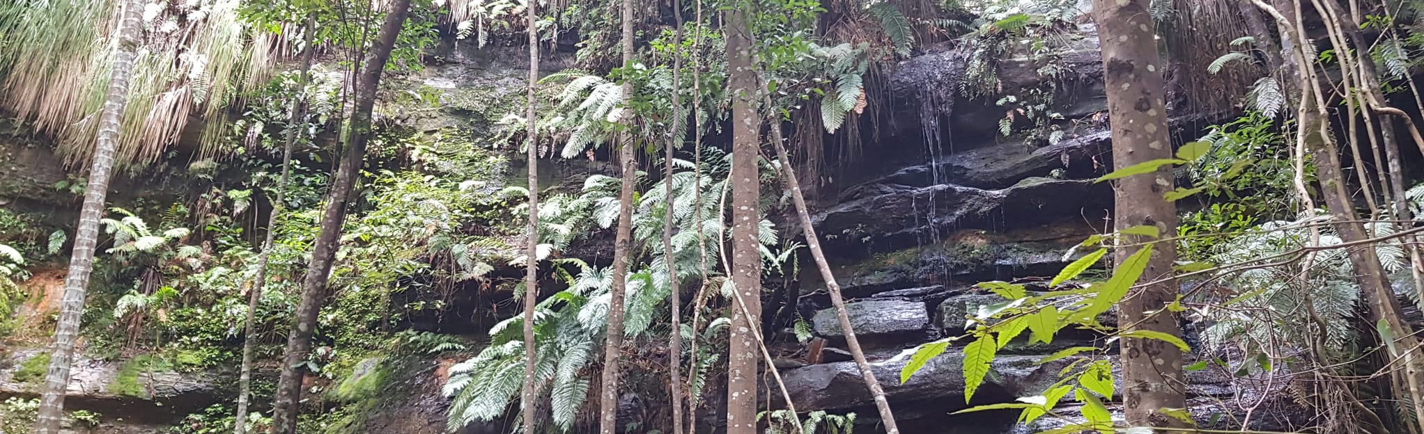 Jilliby Jilliby Creek to Douglas Point Loop, New South Wales, Australia ...