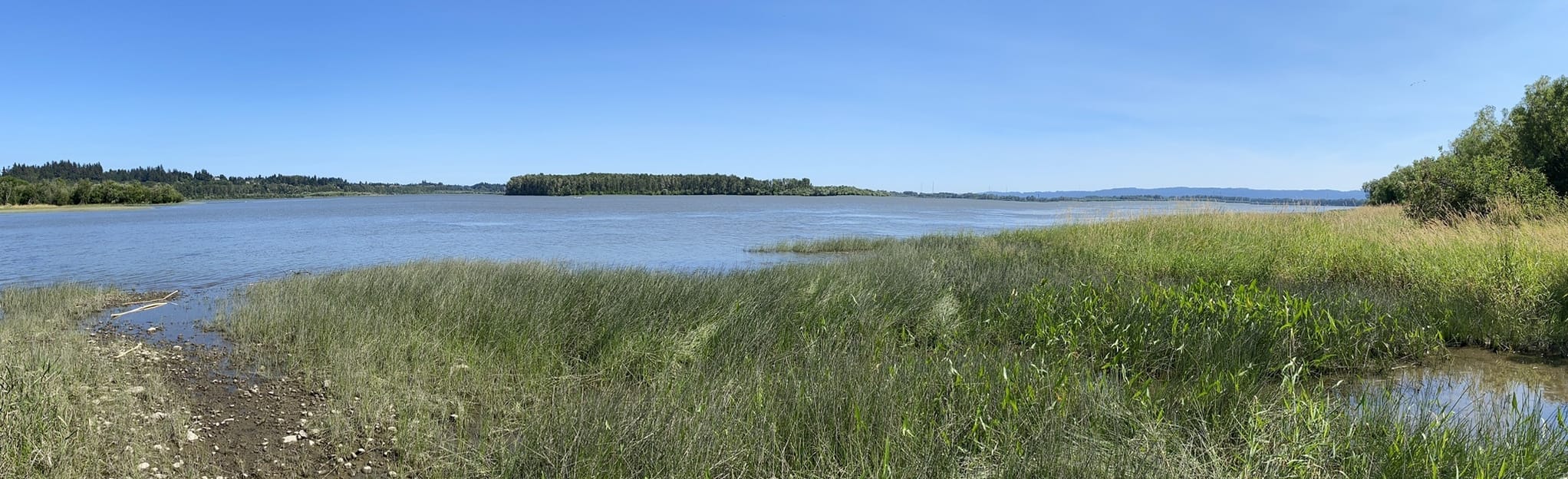 Vancouver Lake North Trail: 406 Reviews, Map - Washington | AllTrails