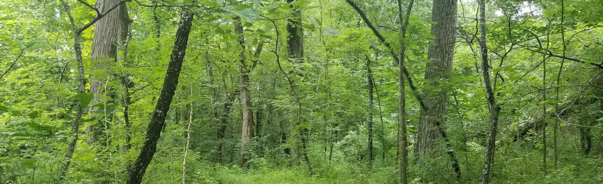 Frytown Trail Outer Loop, Iowa - 42 Reviews, Map | AllTrails