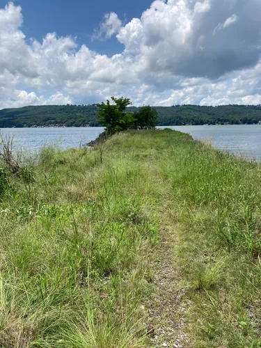 Best Hikes and Trails in Murphy Hill Wildlife Management Area | AllTrails