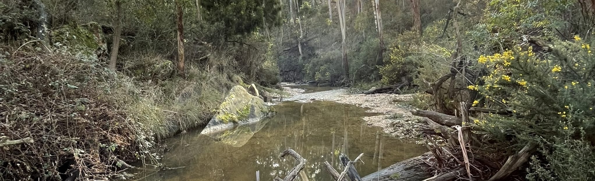 Slaty Creek Loop: 10 foto's - Victoria, Australië | Wandelen - AllTrails