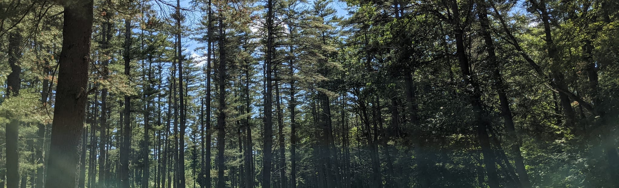 Moody Park Loop Trail | Map, Guide - New Hampshire | AllTrails