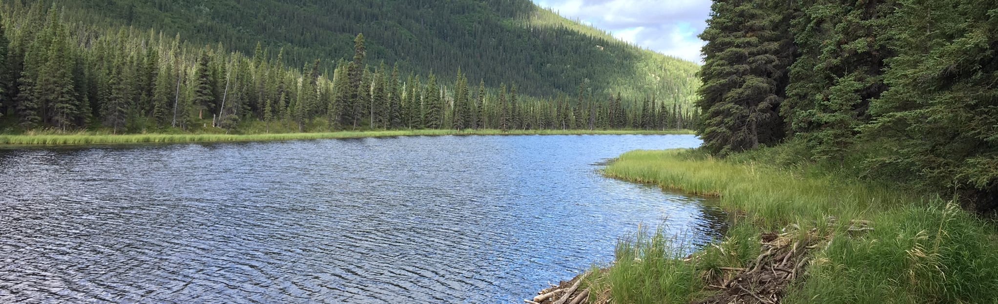 Triple Lakes Trail: South to North, Alaska - 236 Reviews, Map | AllTrails