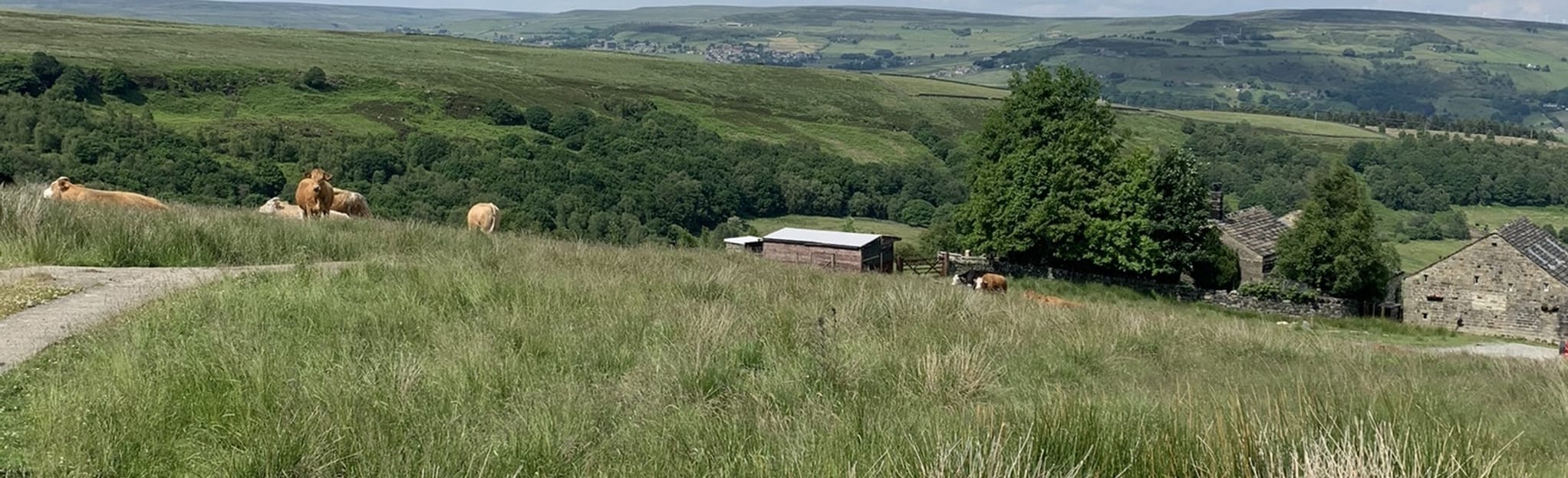 Mytholmroyd, Cragg Vale, Calderdale: 16 Reviews, Map - West Yorkshire ...