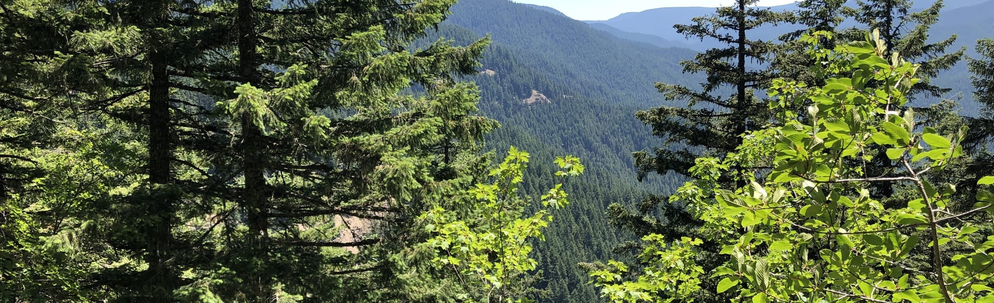 Green Canyon Way Trail: 79 Reviews, Map - Oregon | AllTrails