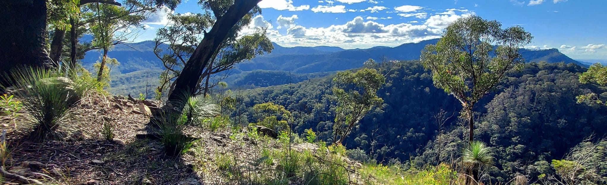 The Steamers via Mount Steamer: 20 Reviews, Map - Queensland, Australia ...