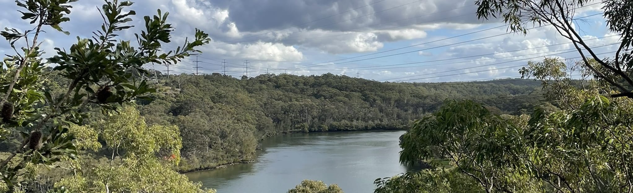 Georges River Ridge Track: 130 Reviews, Map - New South Wales ...