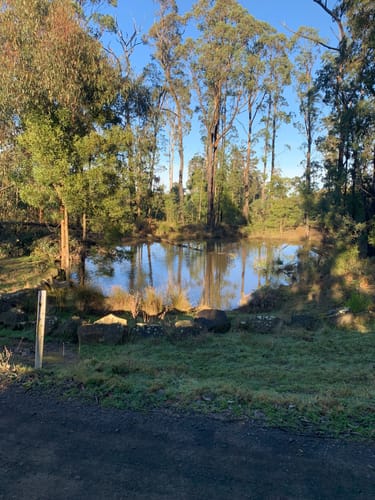Best Hikes and Trails in Wandong Regional Park | AllTrails
