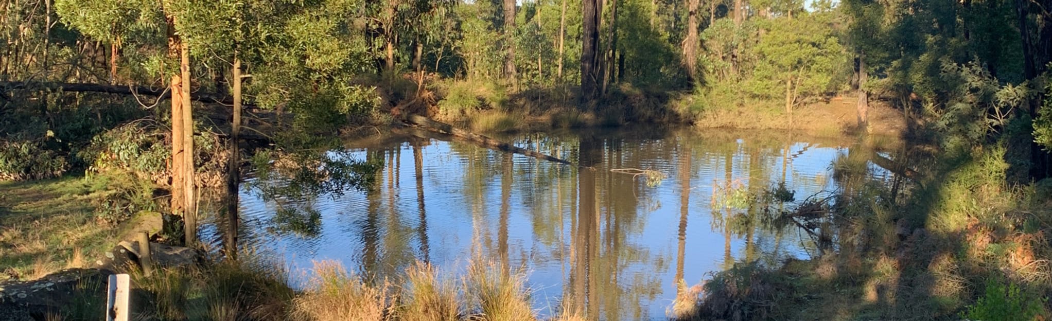 Dry Creek Road via Bruces Creek Road to Mount Disappointment: 6 Reviews ...