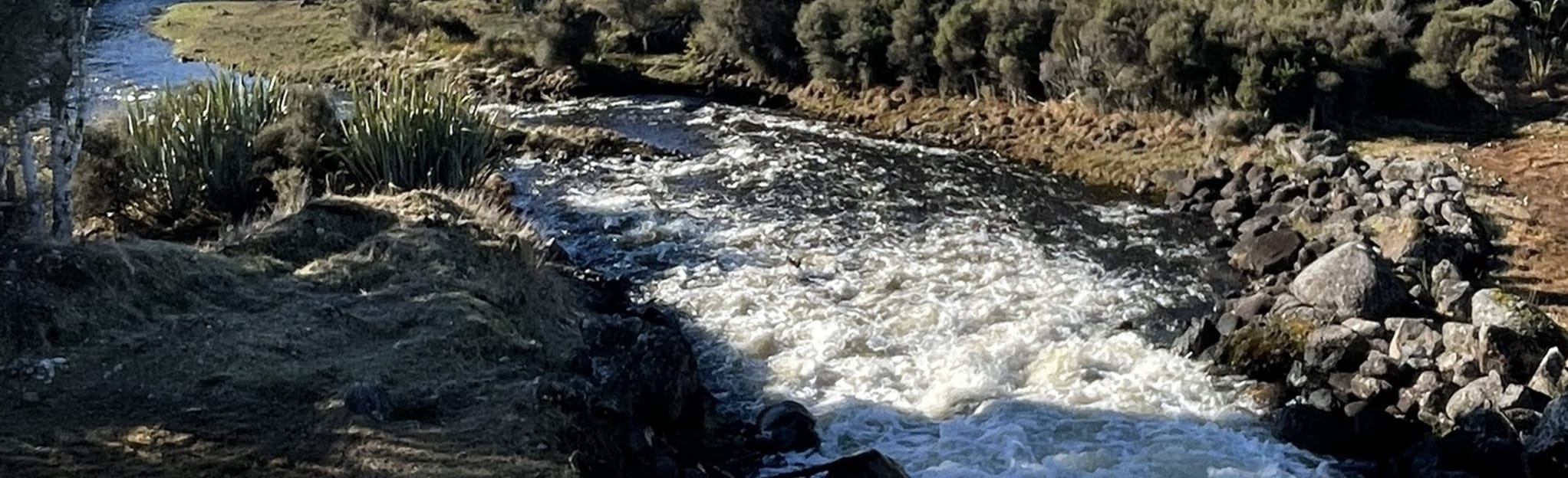 Kapitea and Kumara Reservoir Track, West Coast, New Zealand - 3 Reviews ...