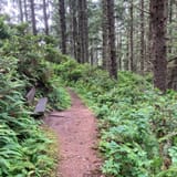 Threemile Lake Trail, Oregon - 134 Reviews, Map | AllTrails