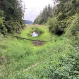 Threemile Lake Trail, Oregon - 134 Reviews, Map | AllTrails