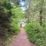 Threemile Lake Trail, Oregon - 134 Reviews, Map | AllTrails