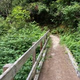 Threemile Lake Trail, Oregon - 134 Reviews, Map | AllTrails