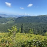 Tarbell Trail Hidden Falls , Washington - 110 Reviews, Map | AllTrails