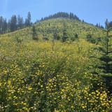 Tarbell Trail Hidden Falls , Washington - 110 Reviews, Map | AllTrails