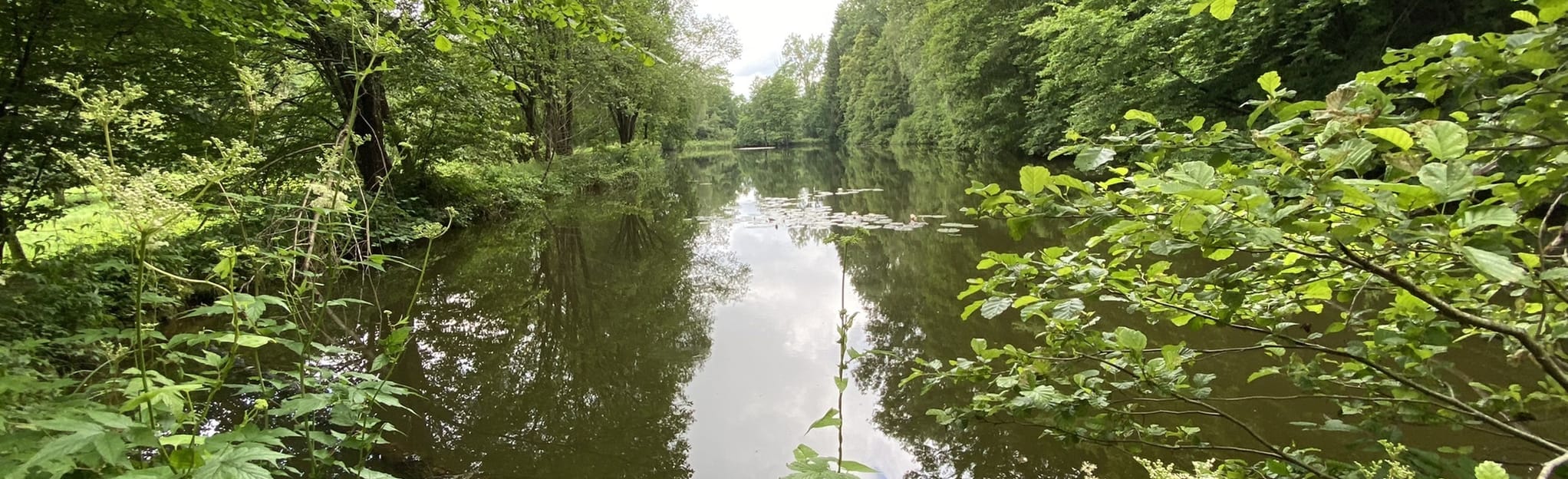 Eifelsteig Stage 13: Himmerod - Bruch: 13 Reviews, Map - Rhineland ...