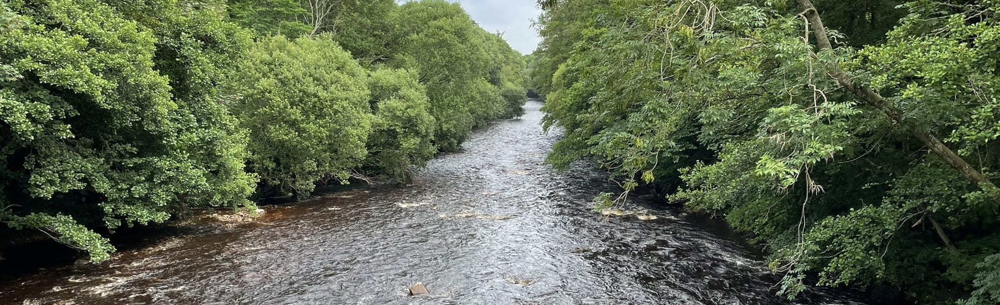 River Nairn and Old Harbour Walk Loop, Highlands, Scotland - 32 Reviews ...