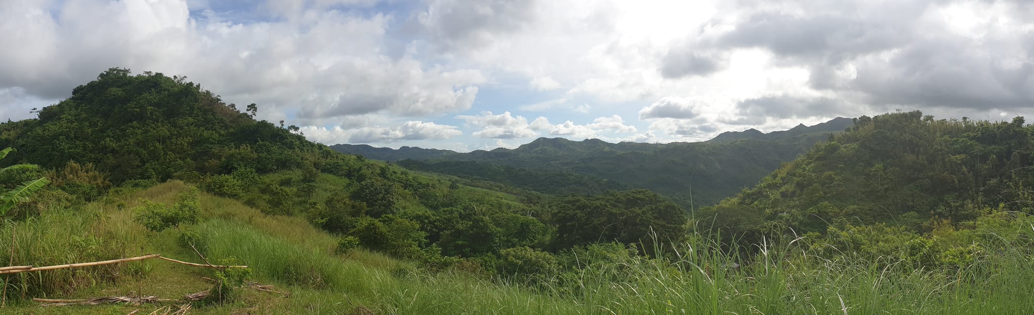 Mount Kulis and Sambong Peak: 1 foto - Provincia di Rizal, Filippine ...