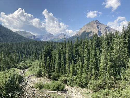Best Hikes and Trails in Cadomin | AllTrails