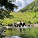 Elkhorn Lake, Virginia - 24 Reviews, Map | AllTrails