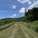 Elkhorn Lake, Virginia - 24 Reviews, Map | AllTrails