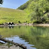 Elkhorn Lake, Virginia - 24 Reviews, Map | AllTrails