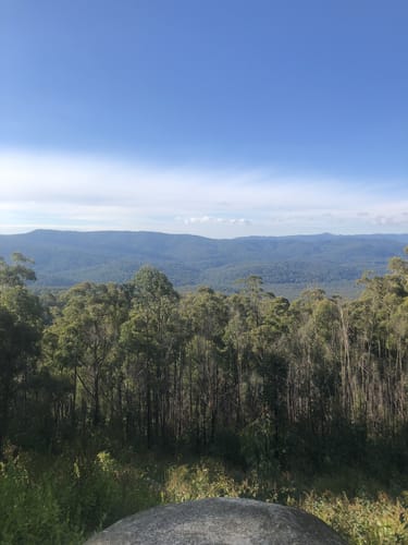 Best 10 Hikes and Trails in Bunyip State Park | AllTrails