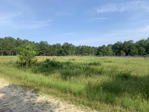 Best Hikes and Trails in Redden State Forest | AllTrails