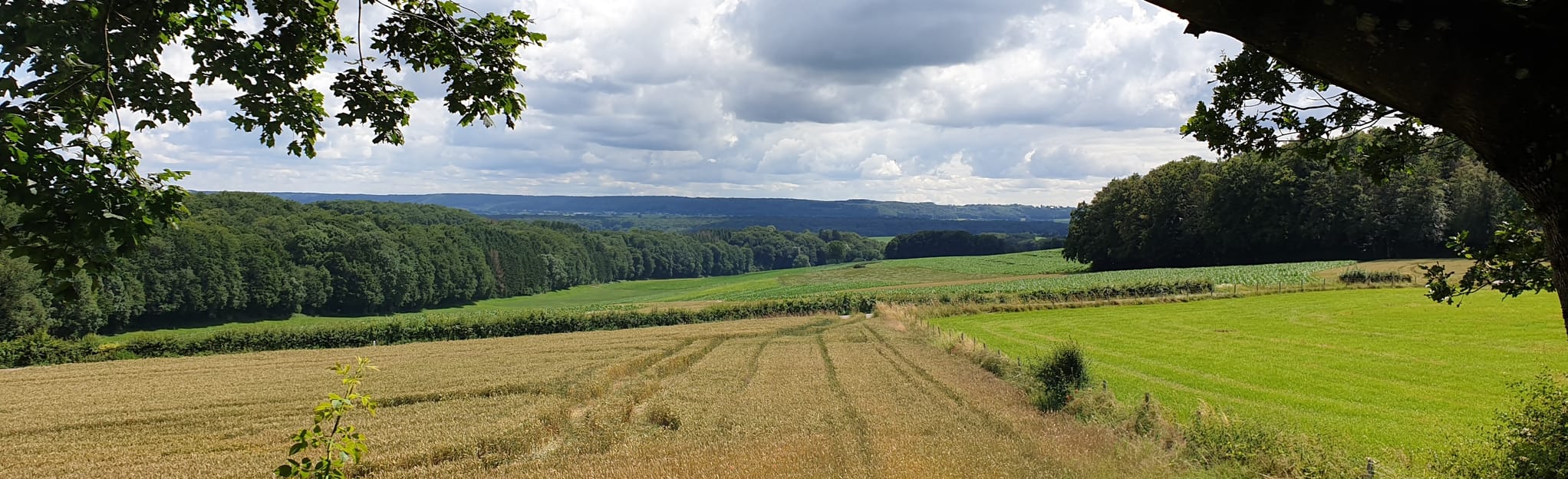 Hostert - Redange - Tour, Redange, Luxembourg - 10 Reviews, Map | AllTrails