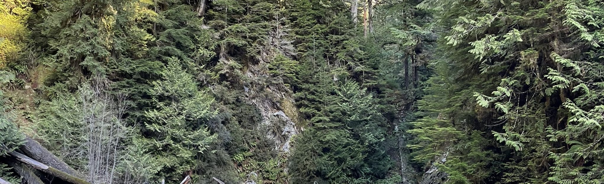 Irely Lake Trail to Big Creek Trail: 27 Reviews, 46 Photos, Map ...